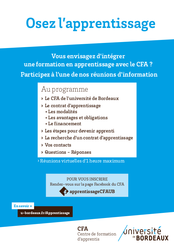 licence pro bordeaux alternance